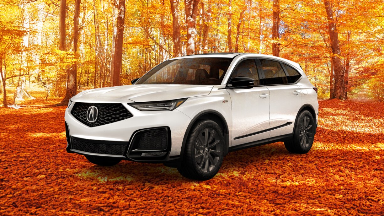 Acura Stretch Lease Program for Canadian Drivers | Acura Canada